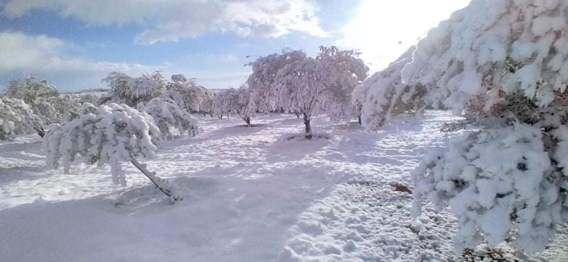 Pictures || Snow fell yesterday in western Algeria because the region ...