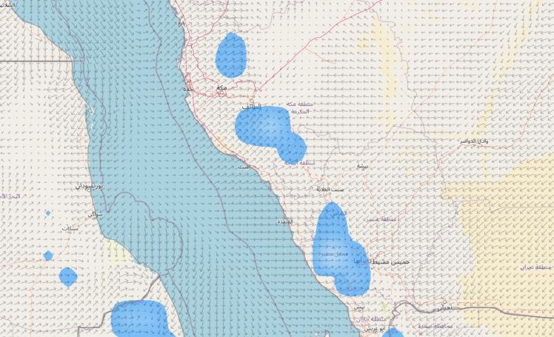 Saudi Arabia: Thunderstorms in the southwest of the Kingdom and active winds in many areas ...
